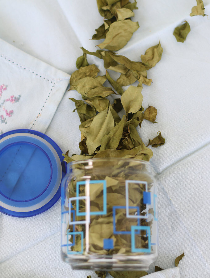 Dried Curry Leaves